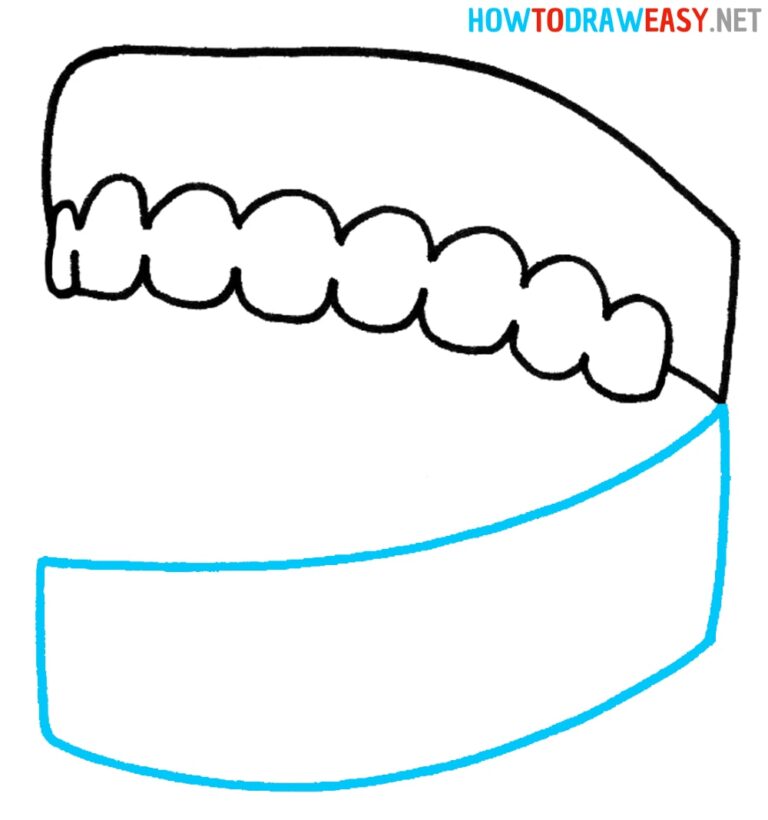 How to Draw Teeth - How to Draw Easy