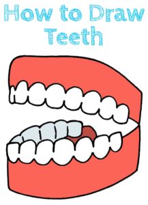 How to Draw Teeth - How to Draw Easy