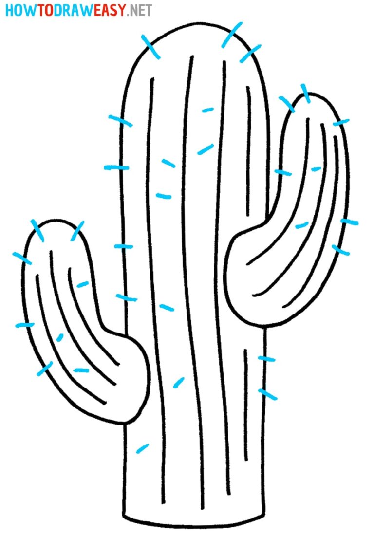 How to Draw a Cactus Step-by-Step - How to Draw Easy