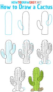 How to Draw a Cactus Step-by-Step - How to Draw Easy