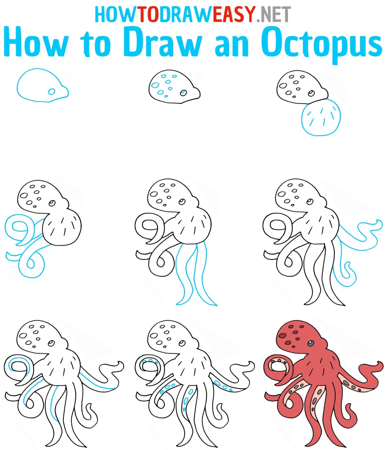 How to Draw an Octopus - How to Draw Easy