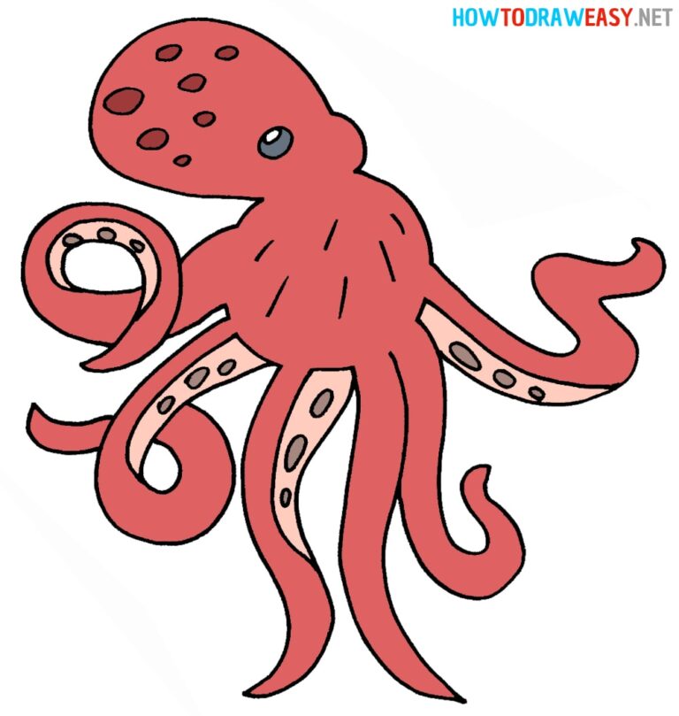 How to Draw an Octopus - How to Draw Easy