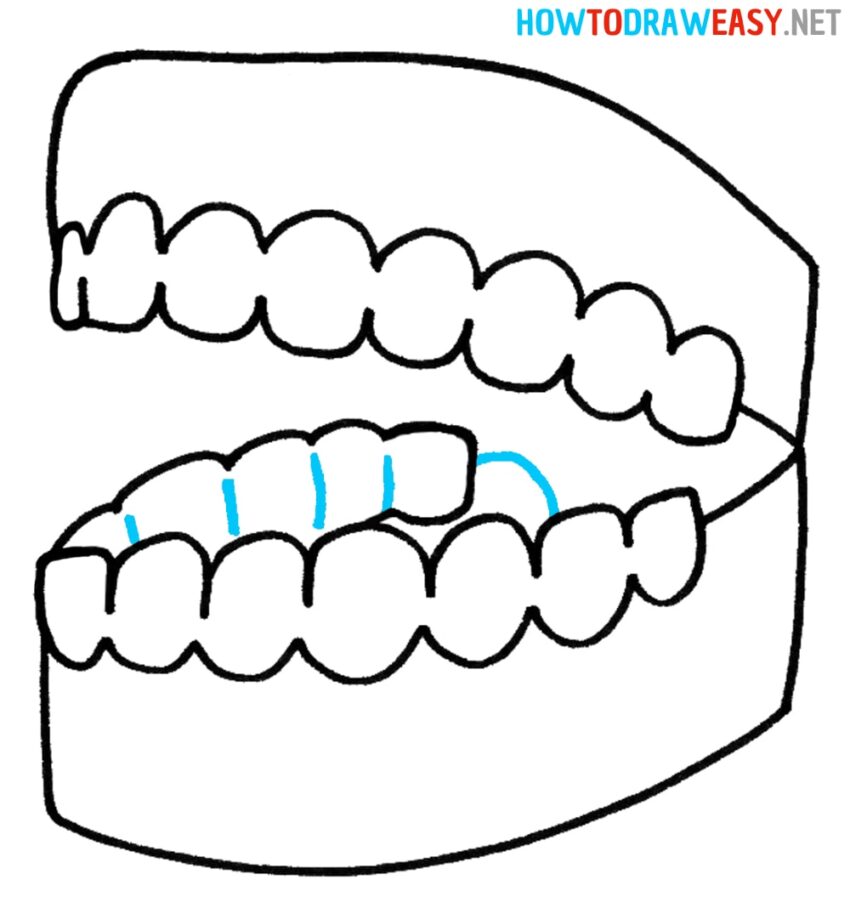 How to Draw Teeth - How to Draw Easy
