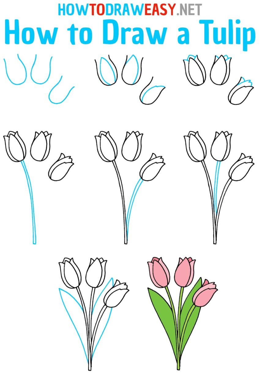 How to Draw Tulips - How to Draw Easy