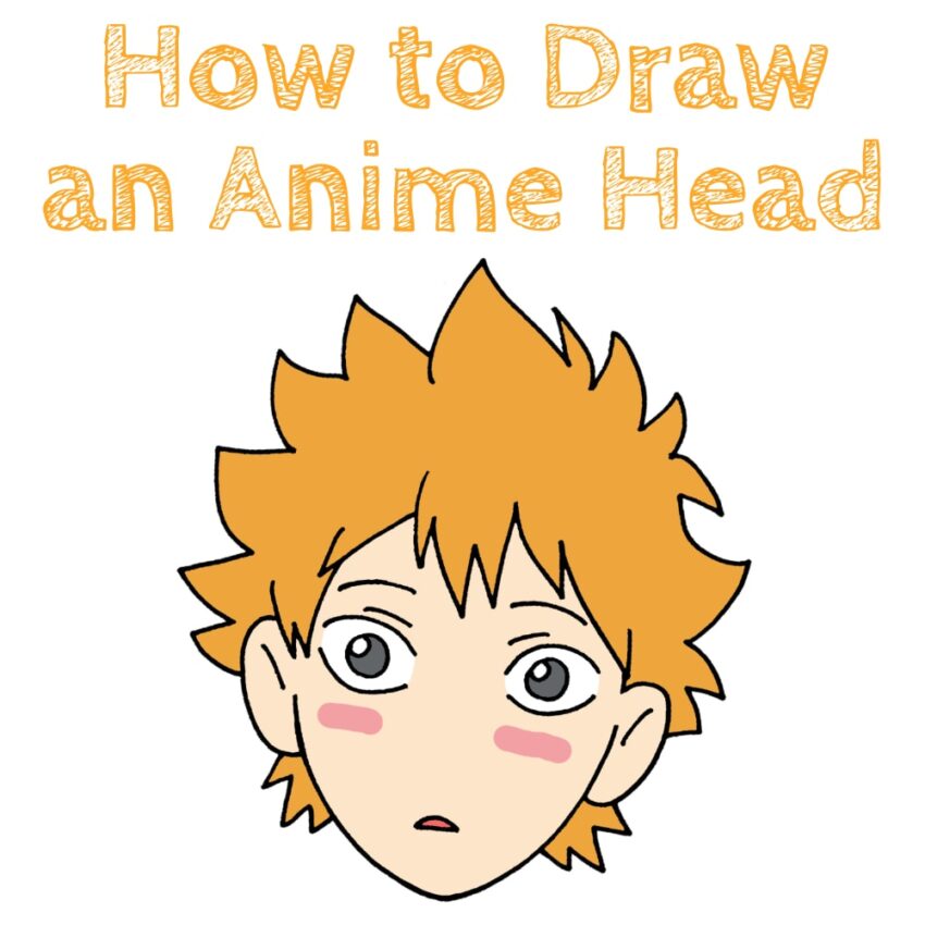 How to Draw an Anime Head - How to Draw Easy