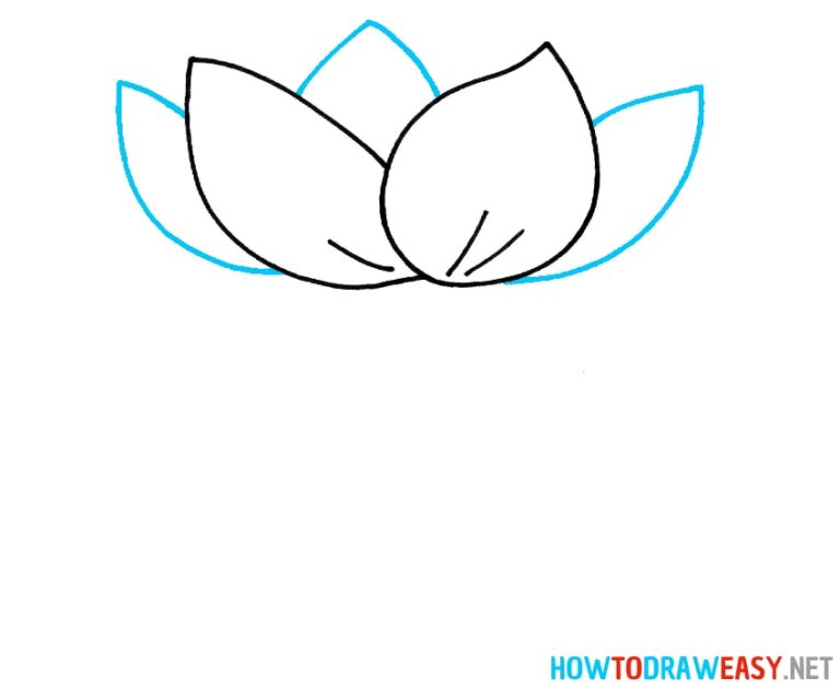 How to Draw a Lotus - How to Draw Easy