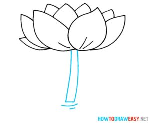 How to Draw a Lotus - How to Draw Easy