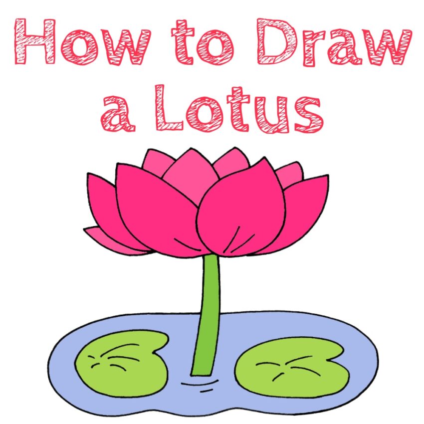 How to Draw a Lotus - How to Draw Easy