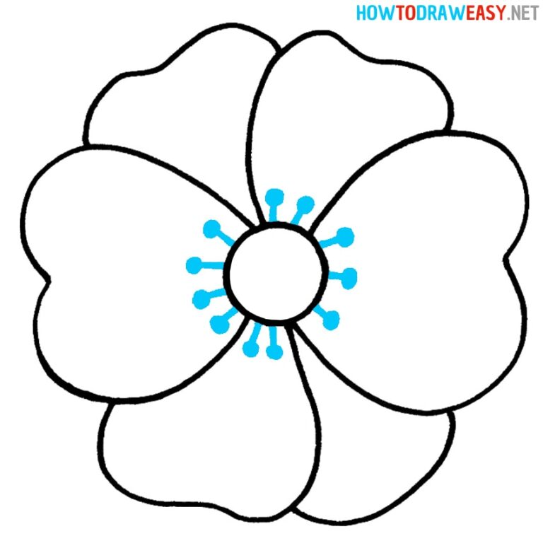 How to Draw a Poppy - How to Draw Easy