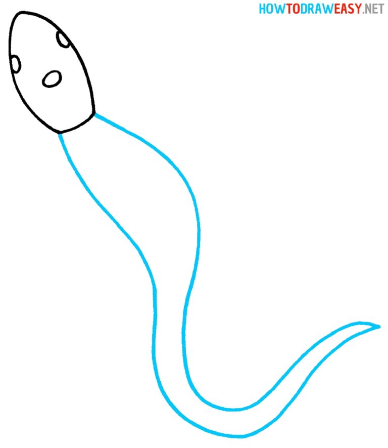 How to Draw a Lizard - How to Draw Easy