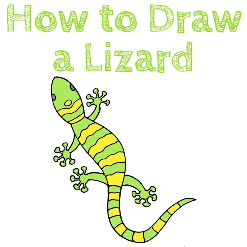 How to Draw a Lizard - How to Draw Easy