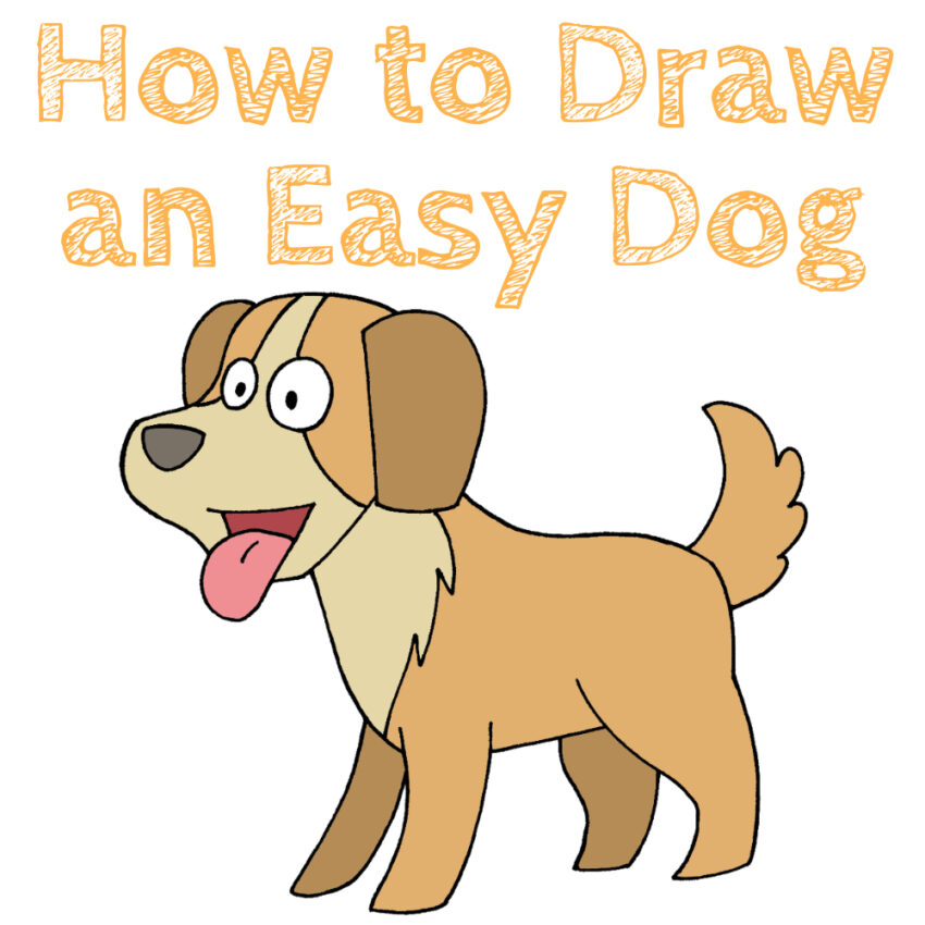 How to Draw an Easy Dog - How to Draw Easy