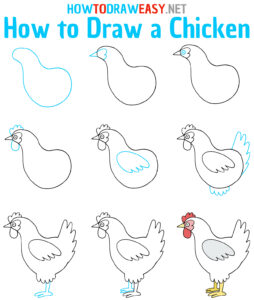 How to Draw a Chicken - How to Draw Easy