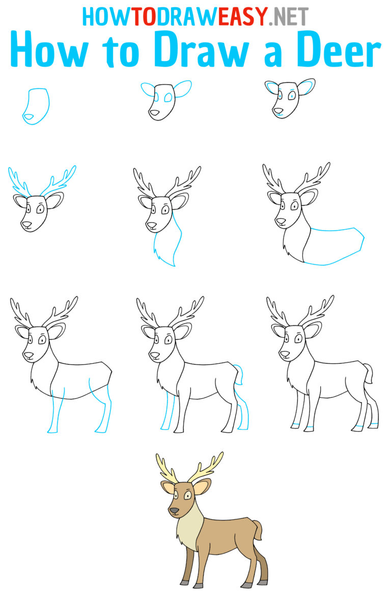 How to Draw a Deer - How to Draw Easy