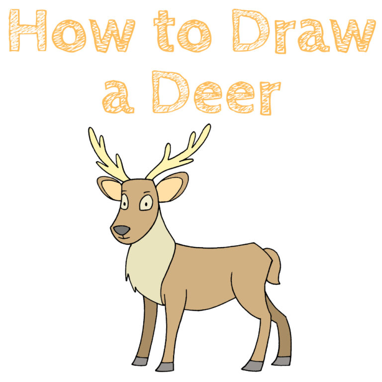 How to Draw a Deer - How to Draw Easy