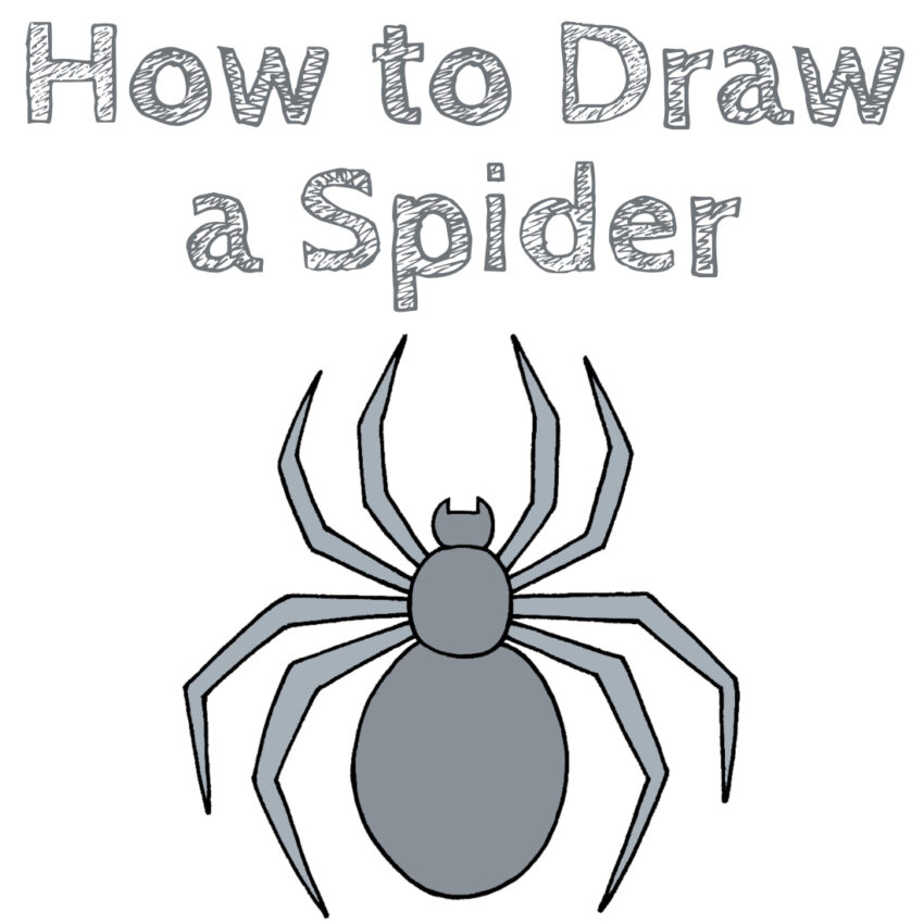 How to Draw a Spider - How to Draw Easy