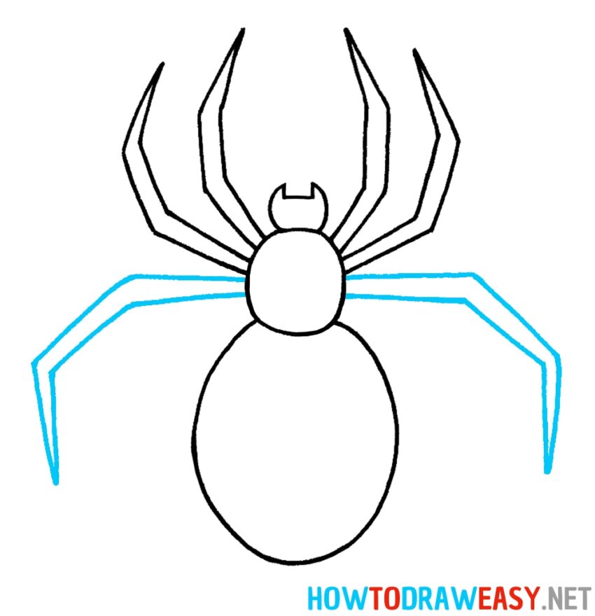 How to Draw a Spider - How to Draw Easy