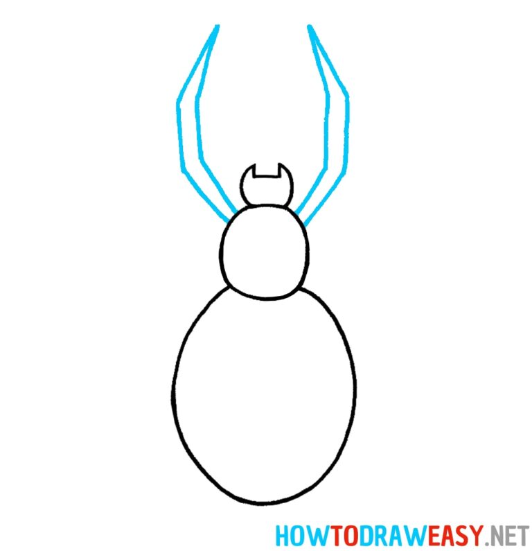 How to Draw a Spider - How to Draw Easy