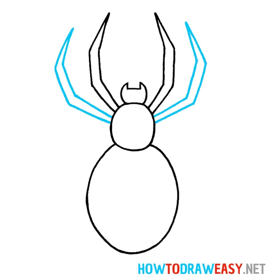 How to Draw a Spider - How to Draw Easy