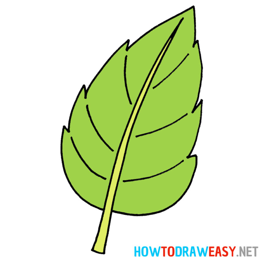 How to Draw a Leaf - How to Draw Easy