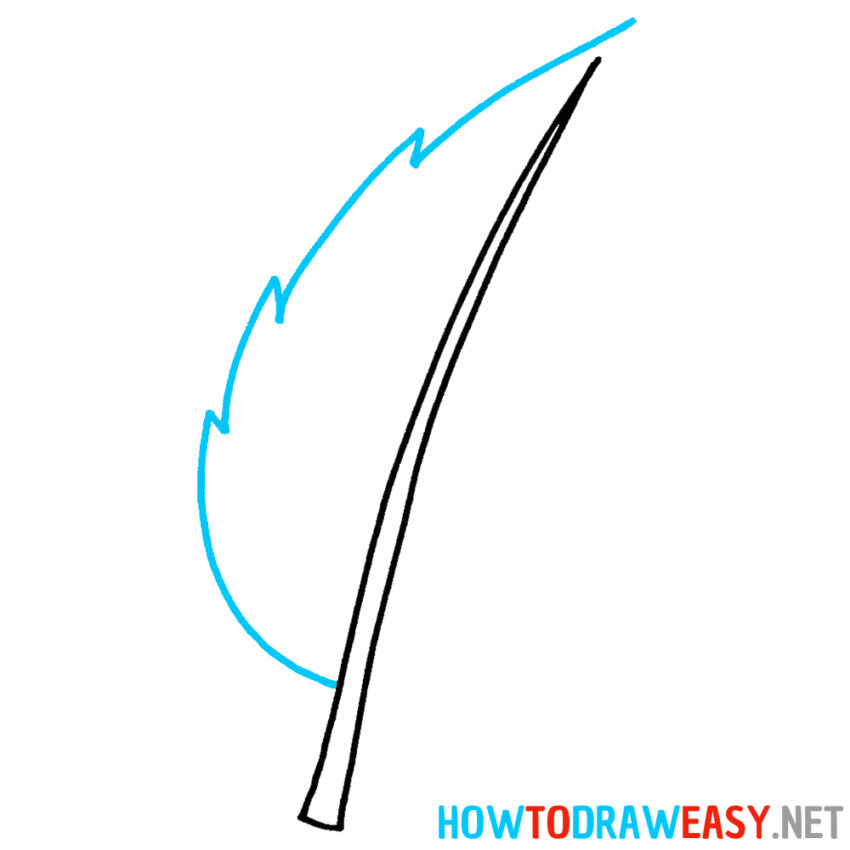 How to Draw a Leaf - How to Draw Easy