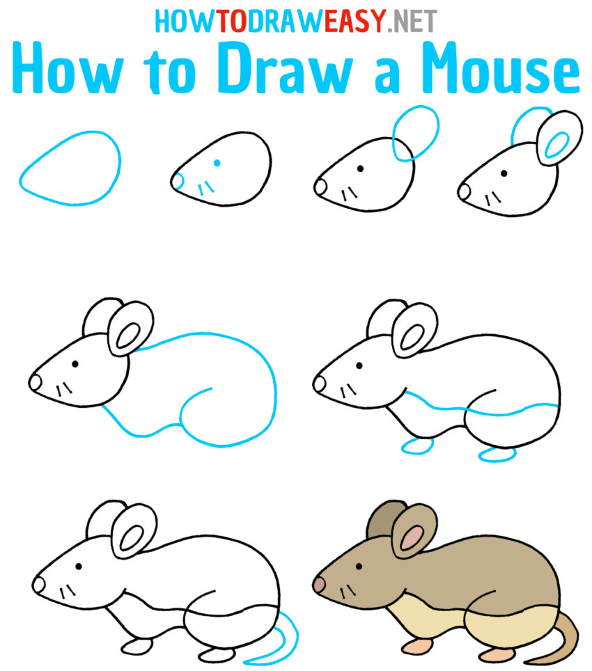 How to Draw a Mouse - How to Draw Easy