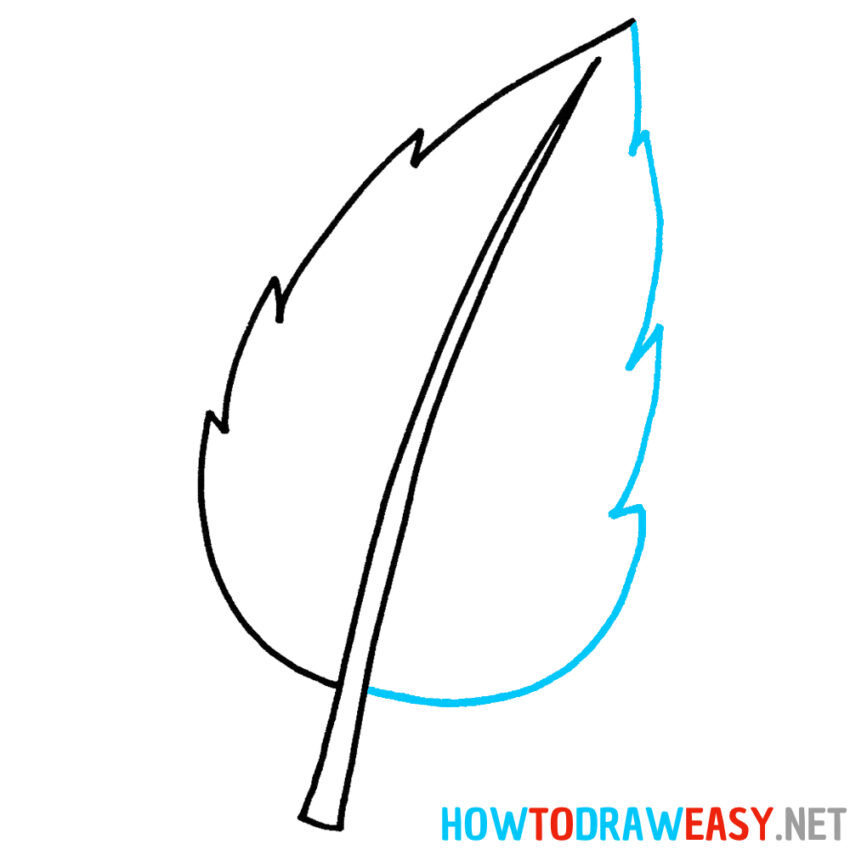 How to Draw a Leaf - How to Draw Easy