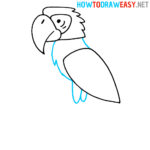 How to Draw a Parrot - How to Draw Easy