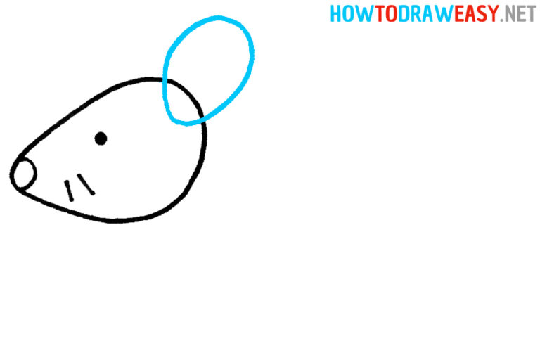How to Draw a Mouse - How to Draw Easy