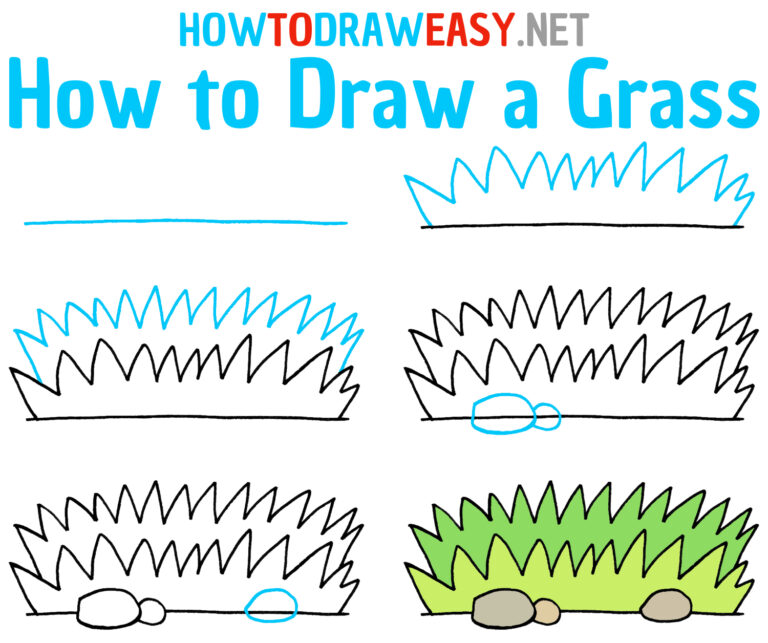 How to Draw a Grass - How to Draw Easy