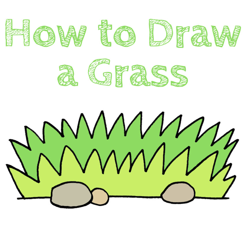 How to Draw a Grass - How to Draw Easy