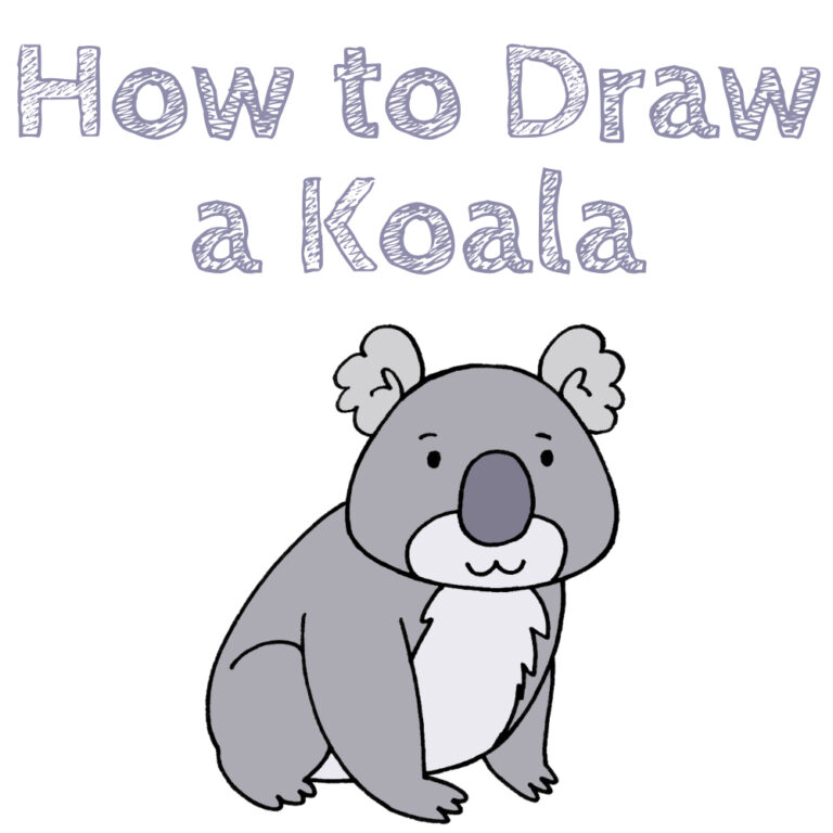 How to Draw a Koala - How to Draw Easy