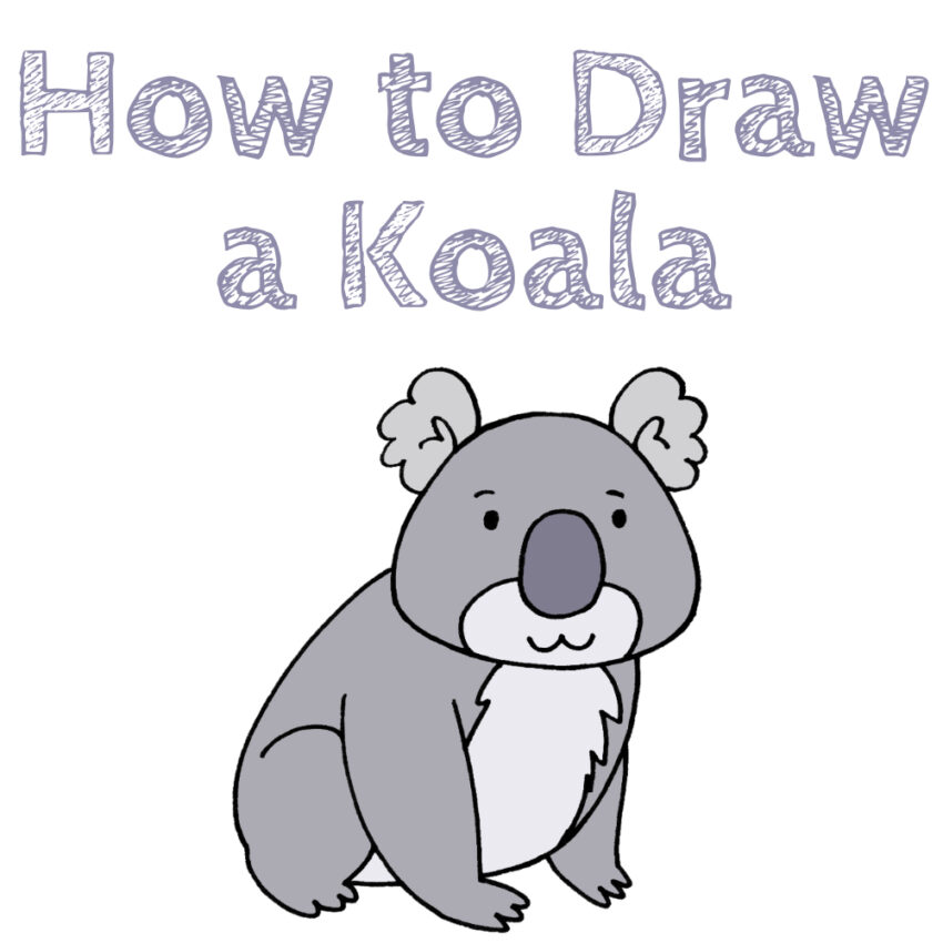 How to Draw a Koala - How to Draw Easy