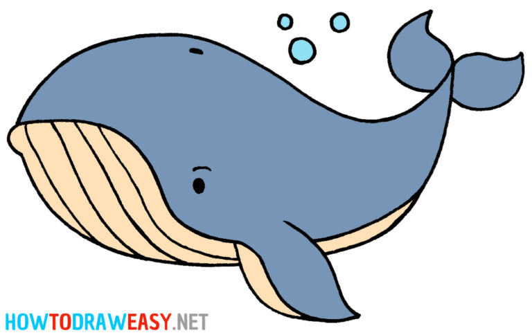 How to Draw a Whale - How to Draw Easy