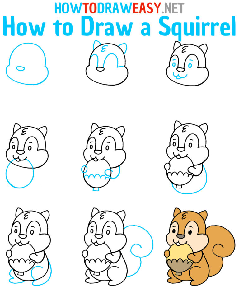 How to Draw a Squirrel Step by Step - How to Draw Easy