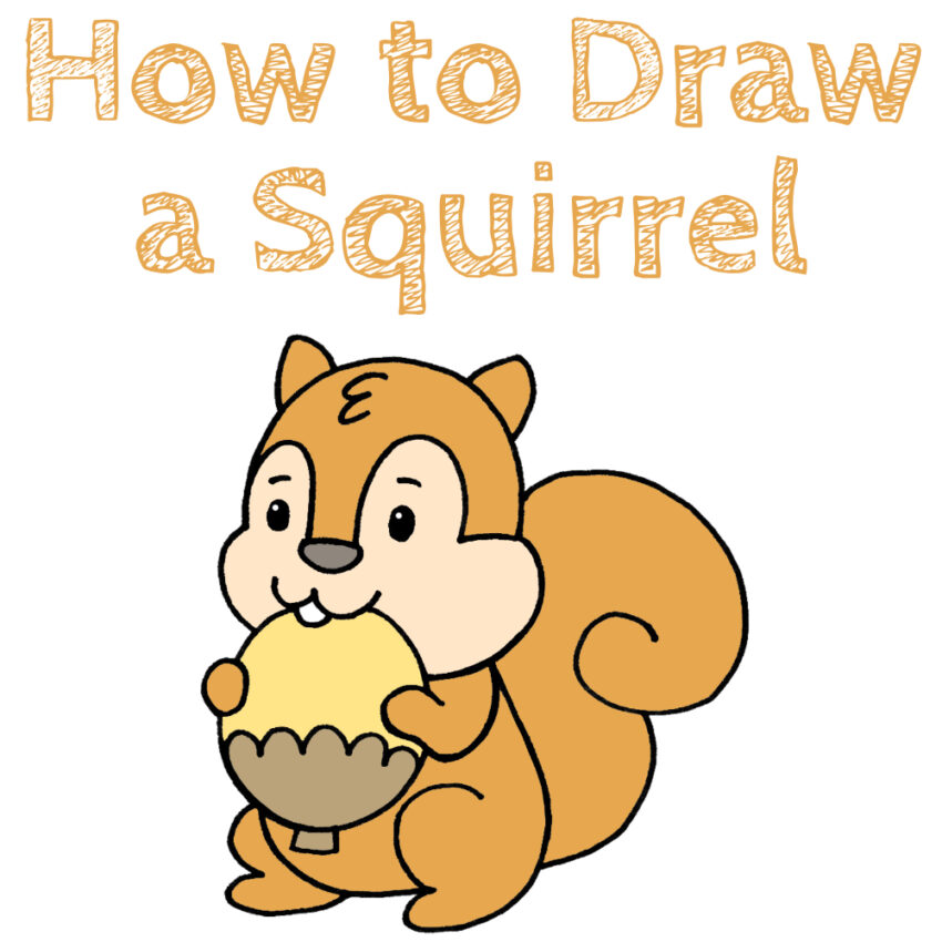 How to Draw a Squirrel Step by Step - How to Draw Easy