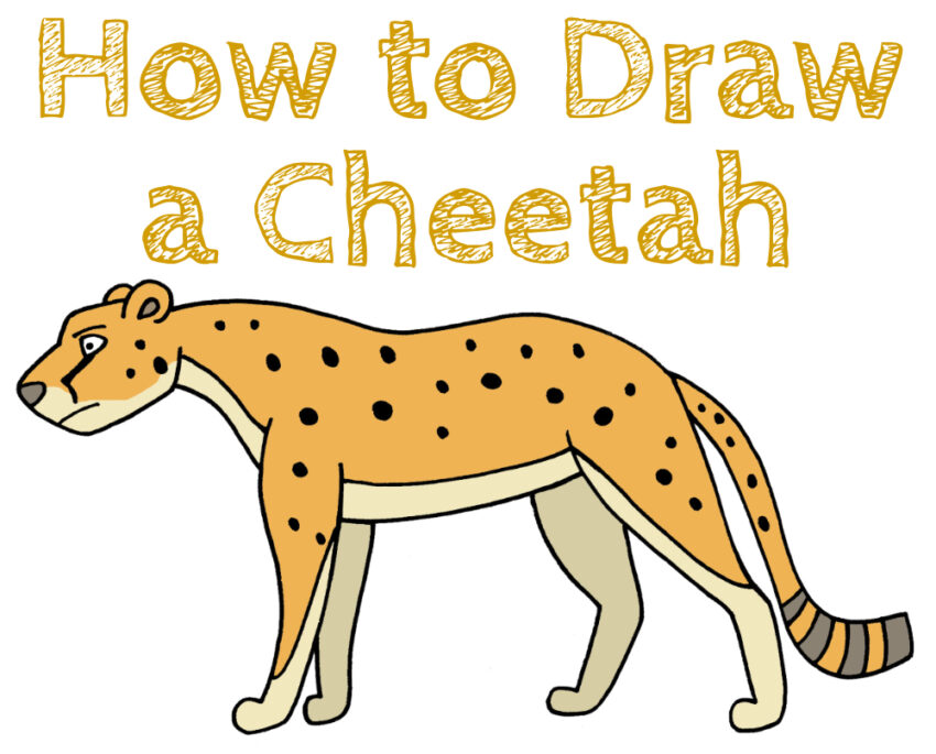 How to Draw a Cheetah - How to Draw Easy