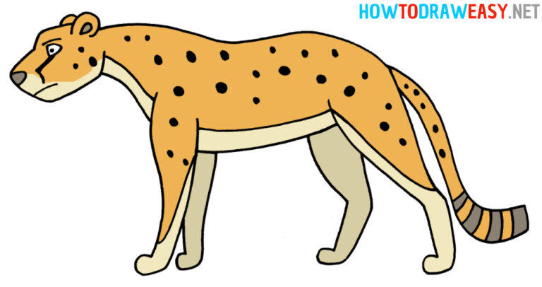 How to Draw a Cheetah - How to Draw Easy