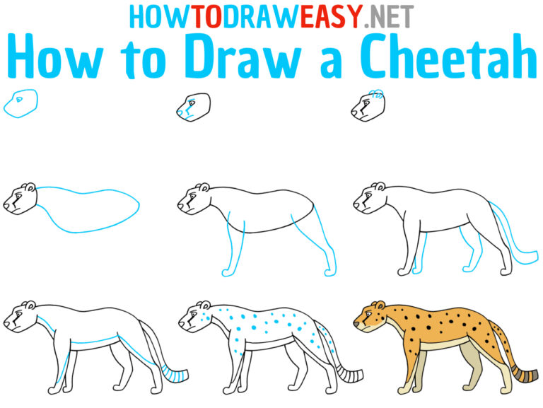 How to Draw a Cheetah - How to Draw Easy