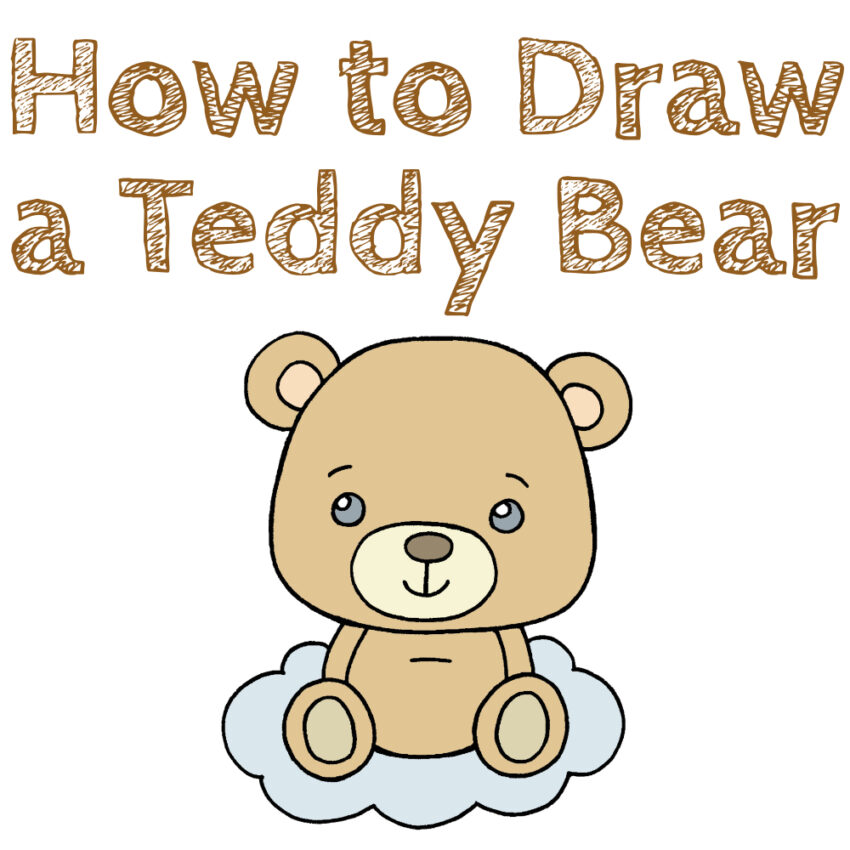 How to Draw a Teddy Bear - How to Draw Easy
