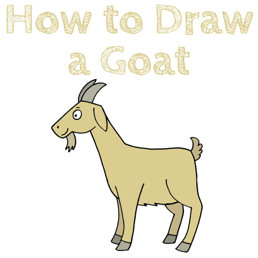 How to Draw a Goat - How to Draw Easy