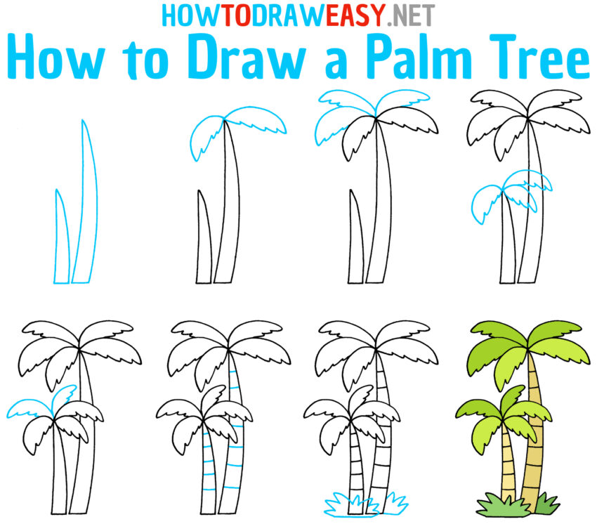 How to Draw a Palm Tree - How to Draw Easy