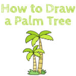 How to Draw a Palm Tree - How to Draw Easy