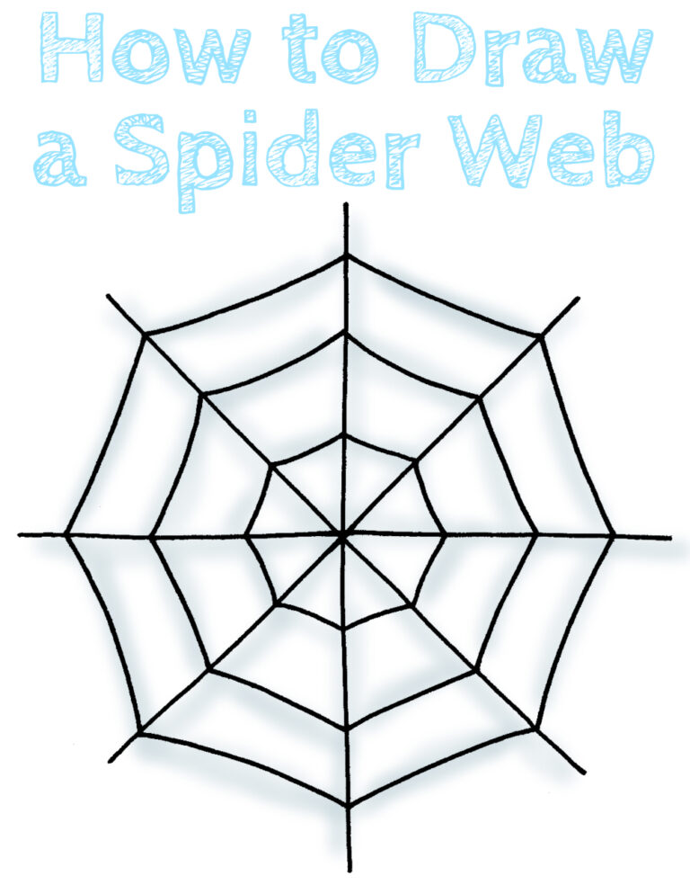 How to Draw a Spider Web - How to Draw Easy