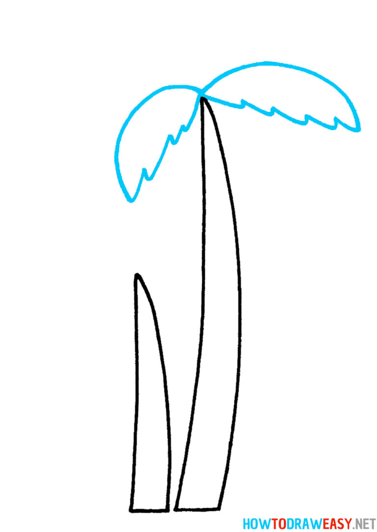 How to Draw a Palm Tree - How to Draw Easy