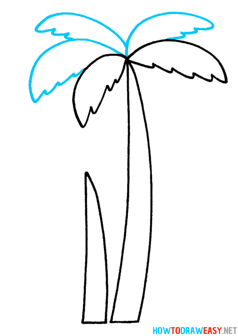 How to Draw a Palm Tree - How to Draw Easy
