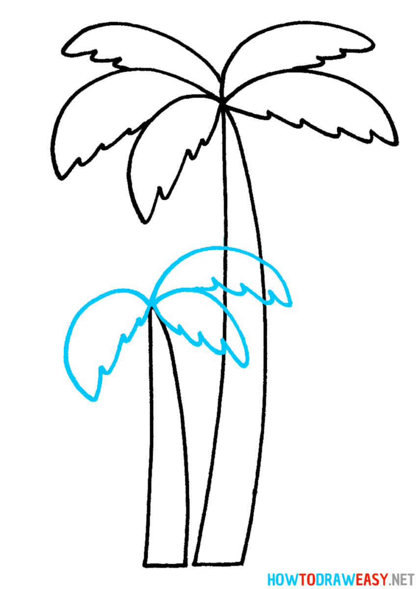 How to Draw a Palm Tree - How to Draw Easy