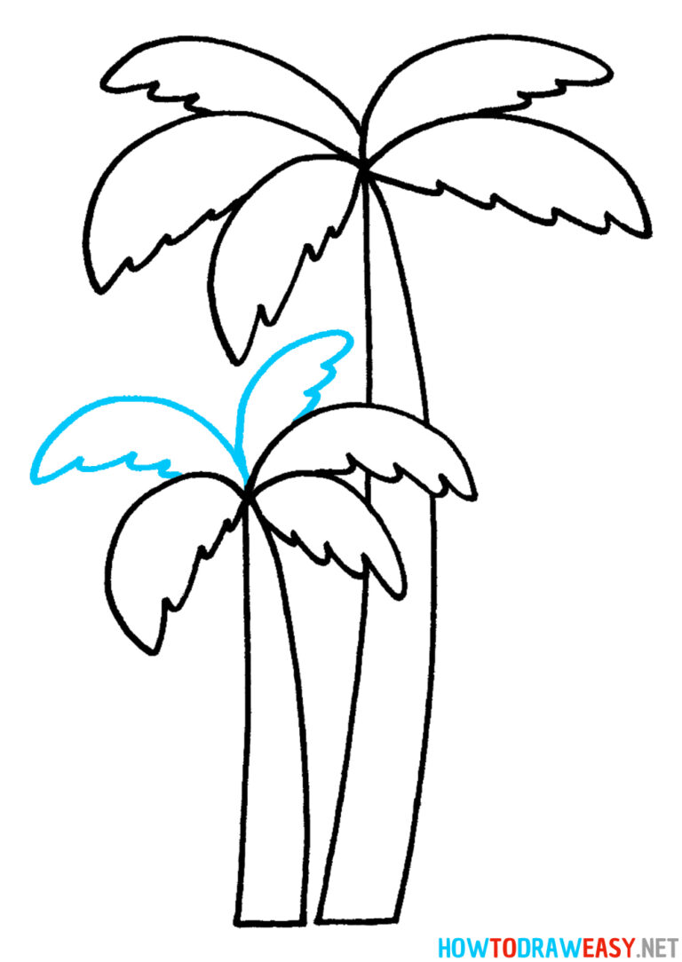 How to Draw a Palm Tree - How to Draw Easy