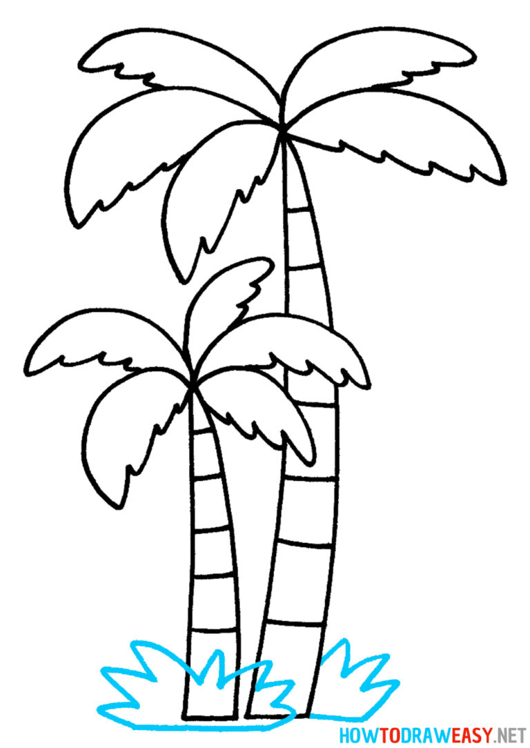 How to Draw a Palm Tree - How to Draw Easy