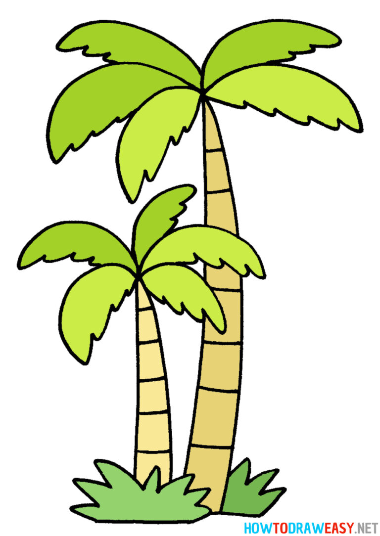 How to Draw a Palm Tree - How to Draw Easy